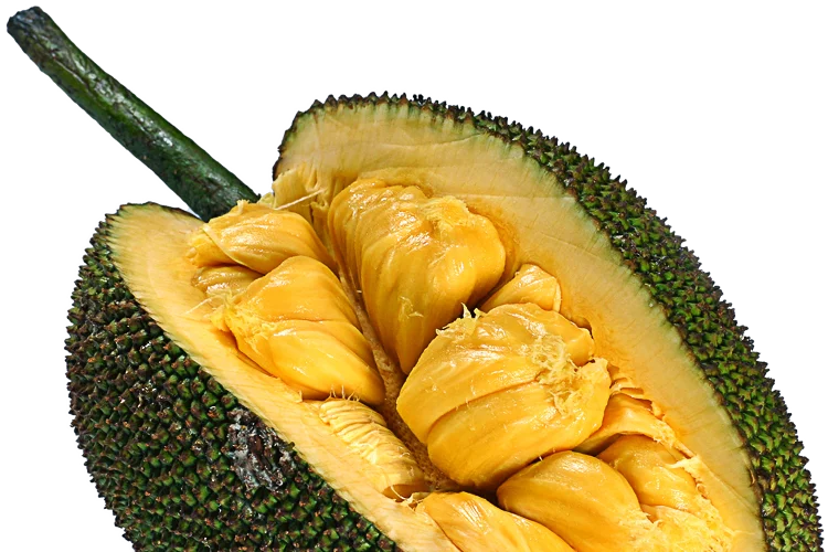 Jackfruit FAQ | Biffs | Jackfruit Burgers | What is jackfruit?