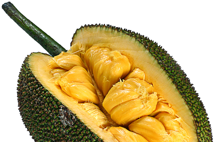 Jackfruit FAQ Biffs Jackfruit Burgers What Is Jackfruit 
